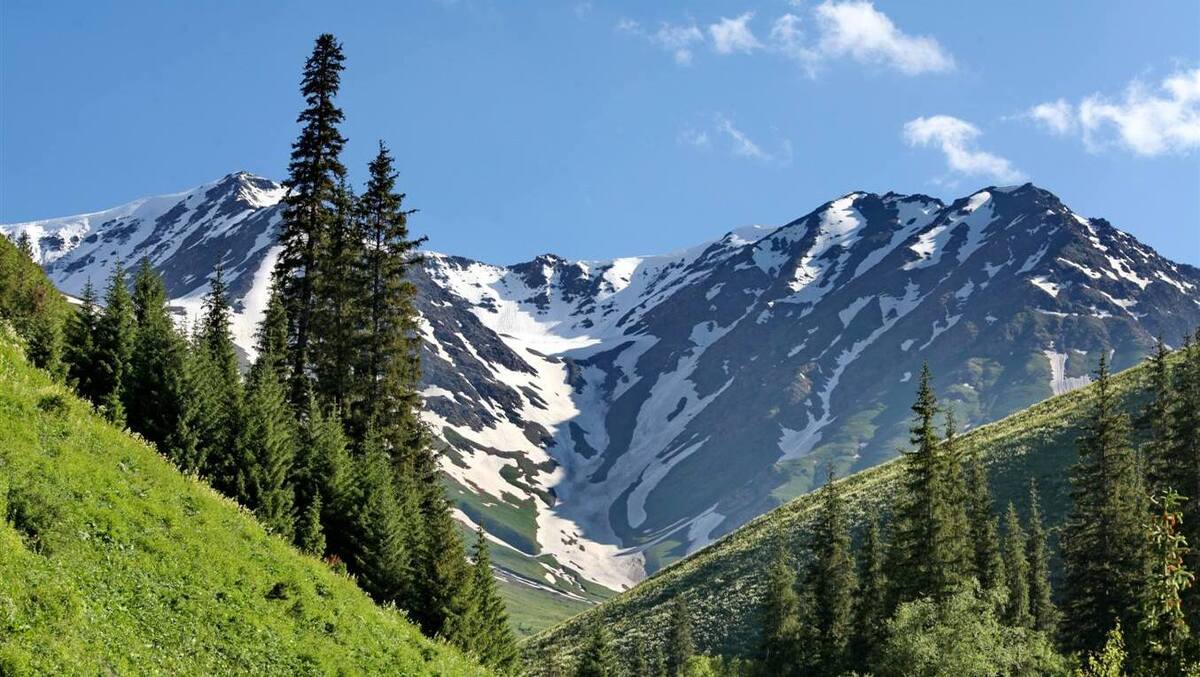 Kara-Shoro National Park: A Natural Paradise for Health and Adventure ...